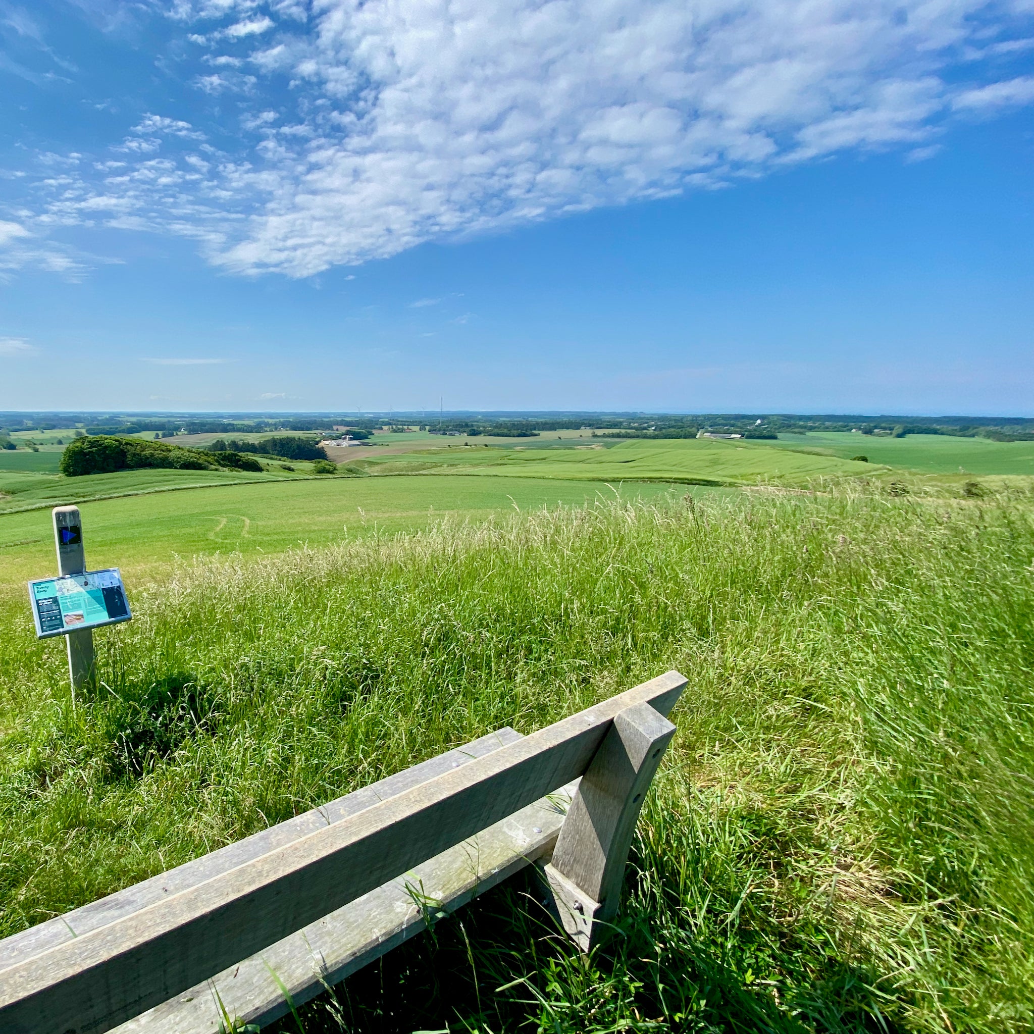 Tornby Bjerg og Præstegårdsbakkerne - Hjørring – vandreophold